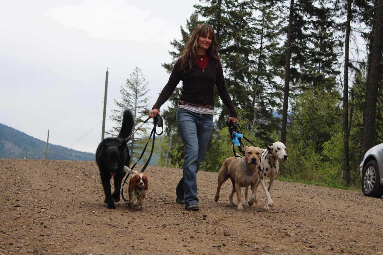 Polite Paws Training and Rehabilitation Center